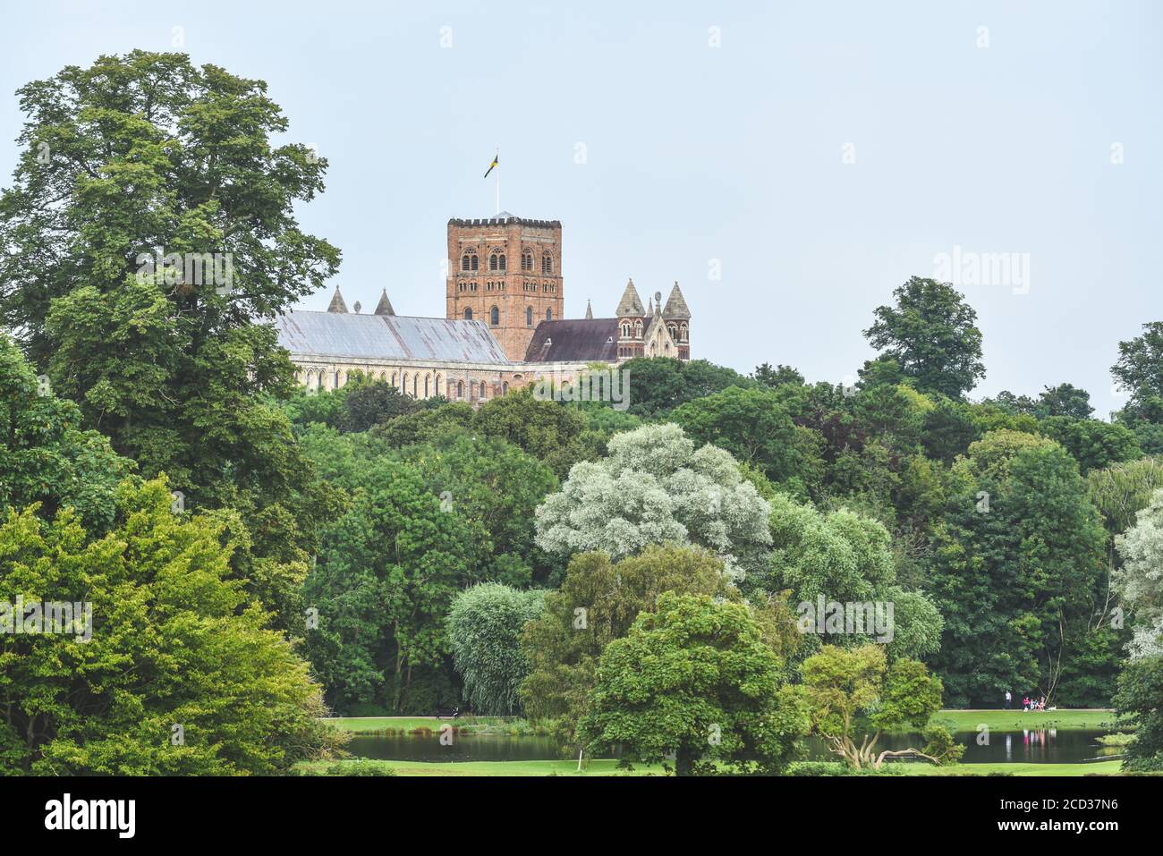 St Albans Cathedral tower viewed from Verulam park in Hertdfordshire UK ...