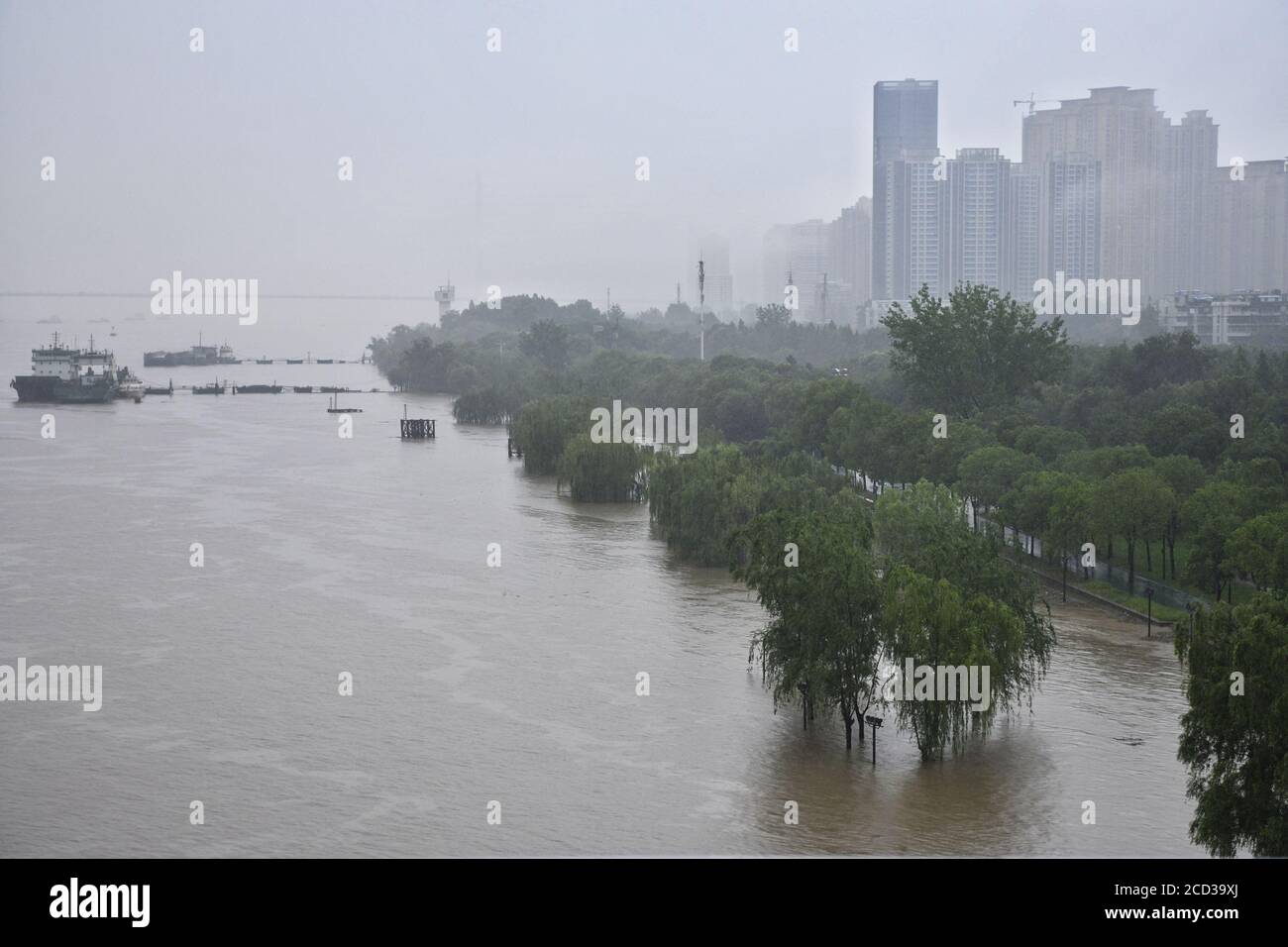 Trees are sumberged by rising water caused by continuous rainfall in ...