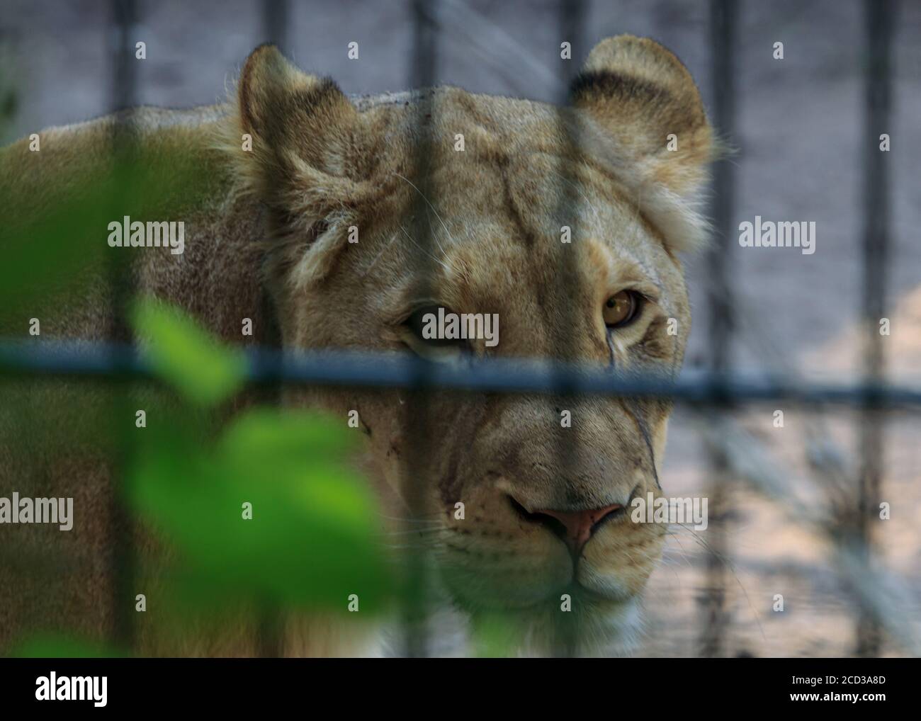 Big riga sign hi-res stock photography and images - Alamy