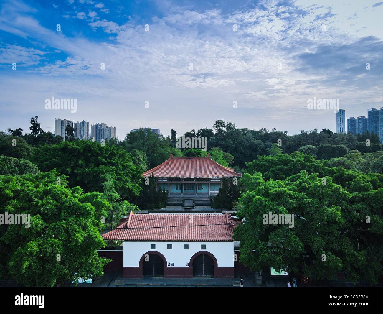 Aerial view of the green lotus leaves and trees surrounding Wangcong ...