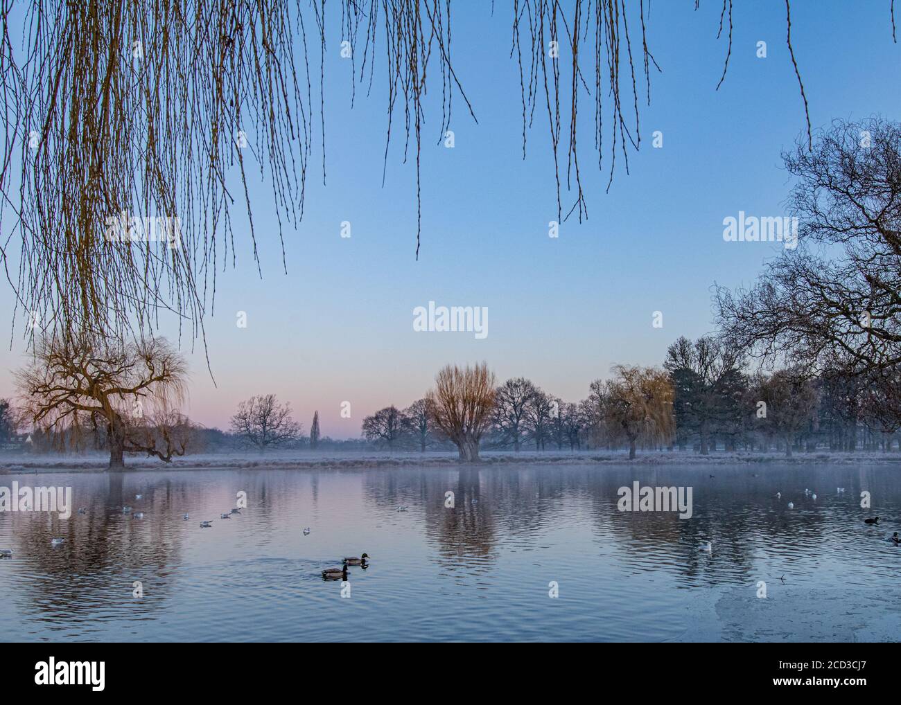 Dawn of spring hi-res stock photography and images - Alamy