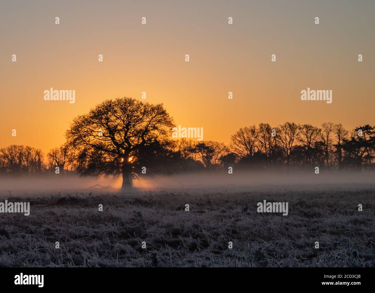 Dawn of spring hi-res stock photography and images - Alamy