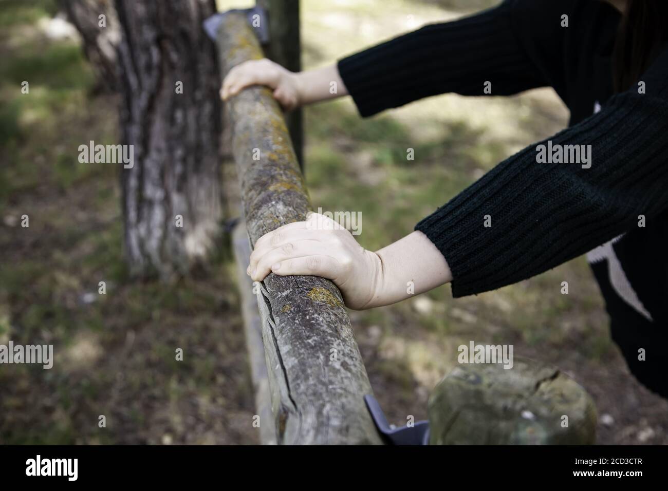 Hands grabbing a log of wood, detail of relaxation in nature Stock ...