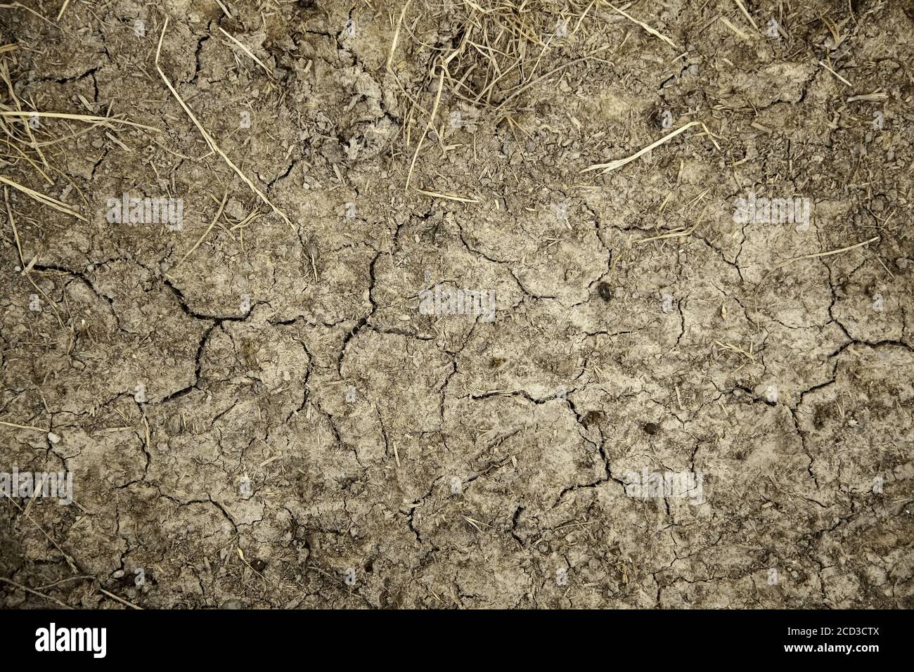 detail of climate change, destruction and heat, destruction of the ...