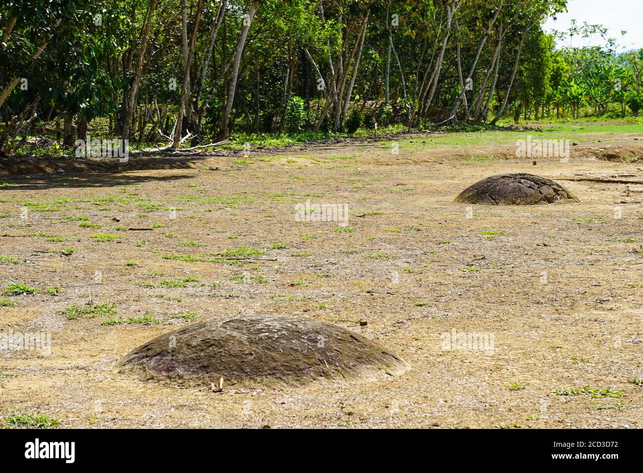 Open field with tiny hills in the middle and trees around during a ...