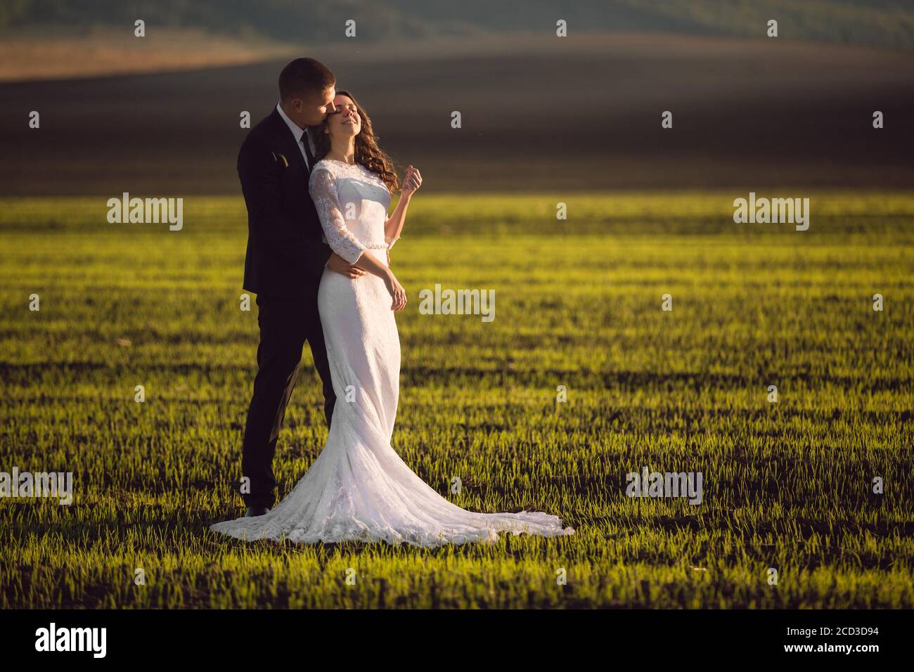 bride in the arms of the groom on a background of spring fields and ...