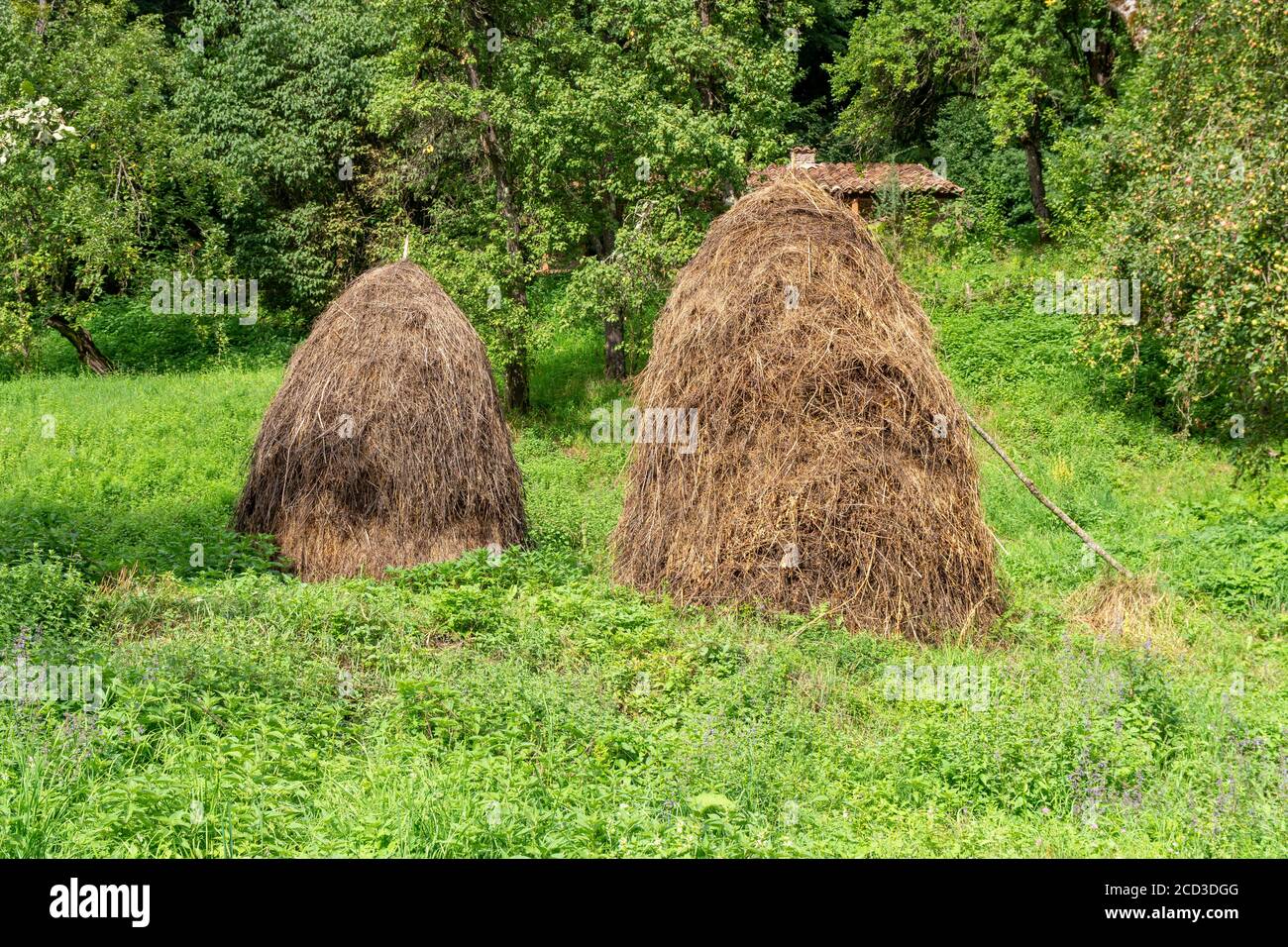 Traditional hay bales in Pshavi, a highland region of Georgia Stock ...
