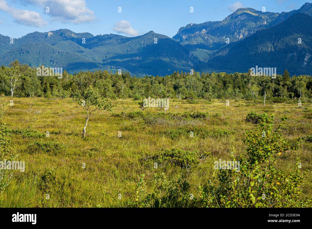 Marshland scenery hi-res stock photography and images - Alamy
