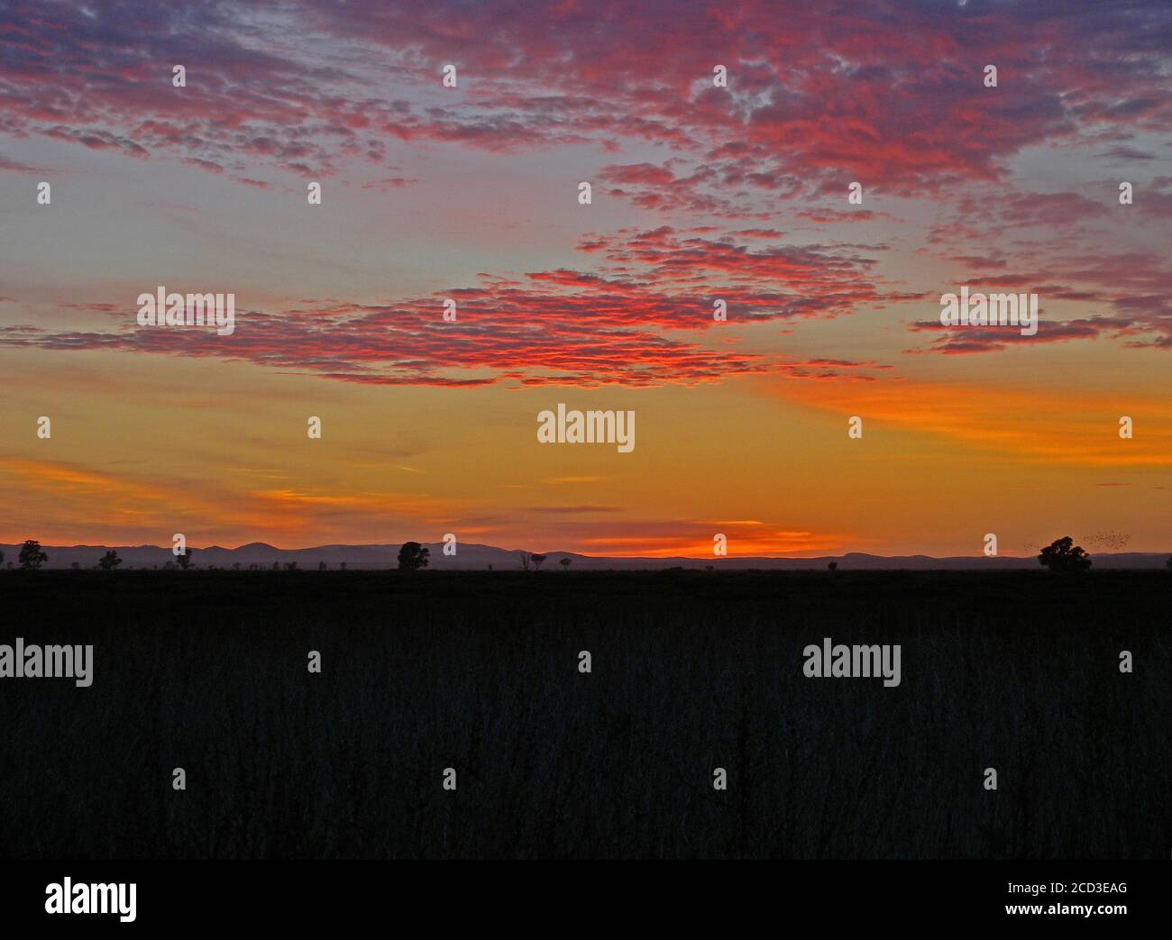 sunrise over Australian outback, Australia Stock Photo - Alamy