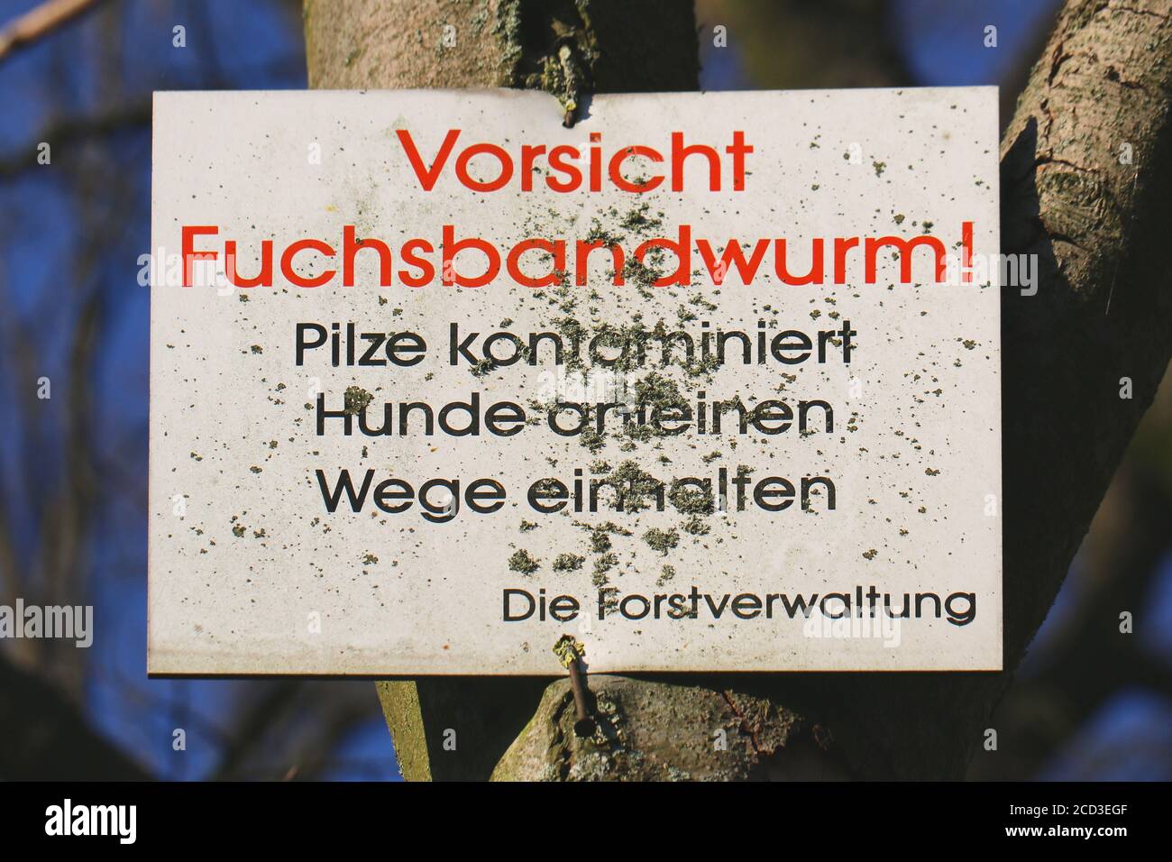 warning sign against the fox tapeworm in a forest, Germany Stock Photo ...