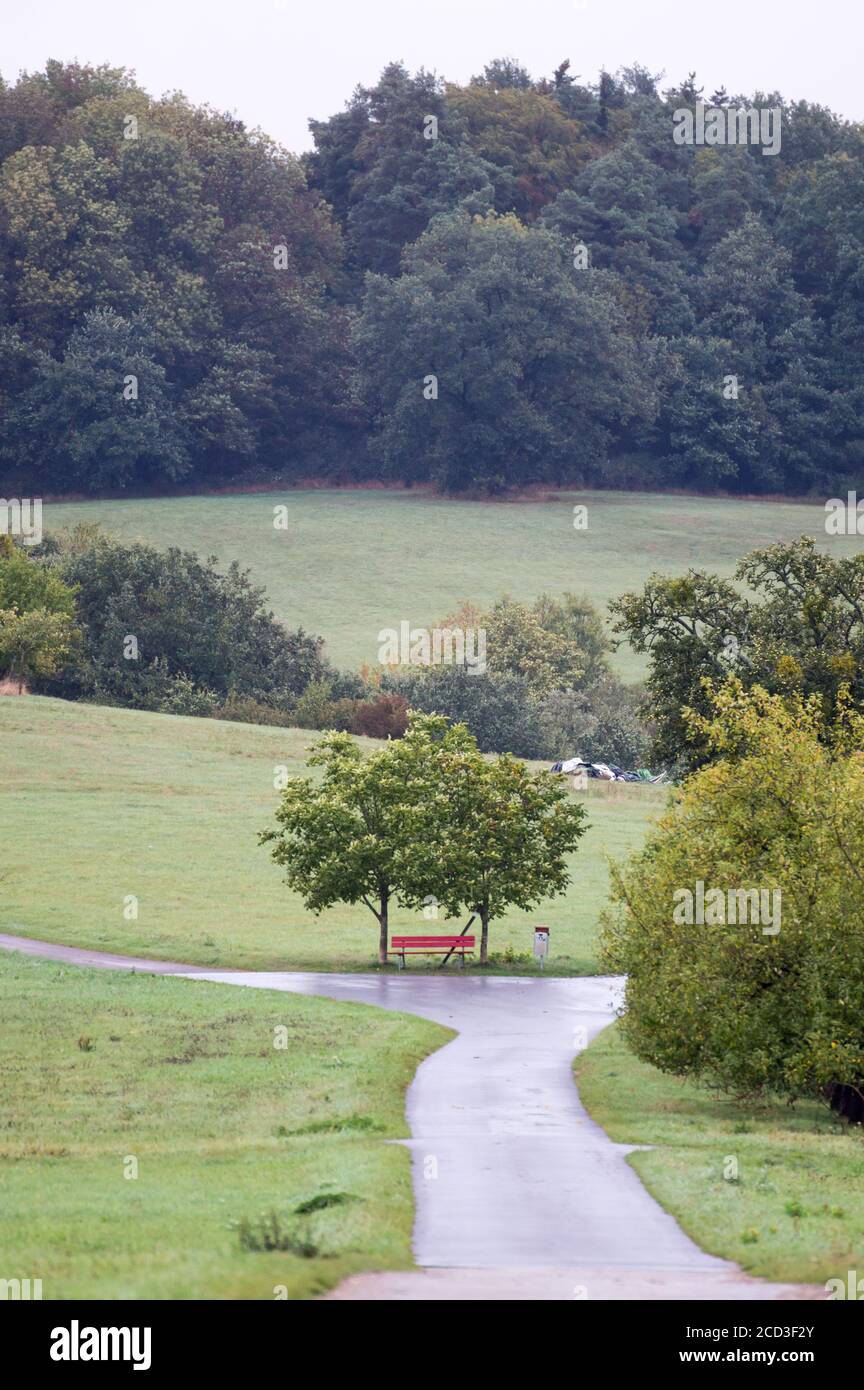 summer landscape meadow and forest border Stock Photo - Alamy