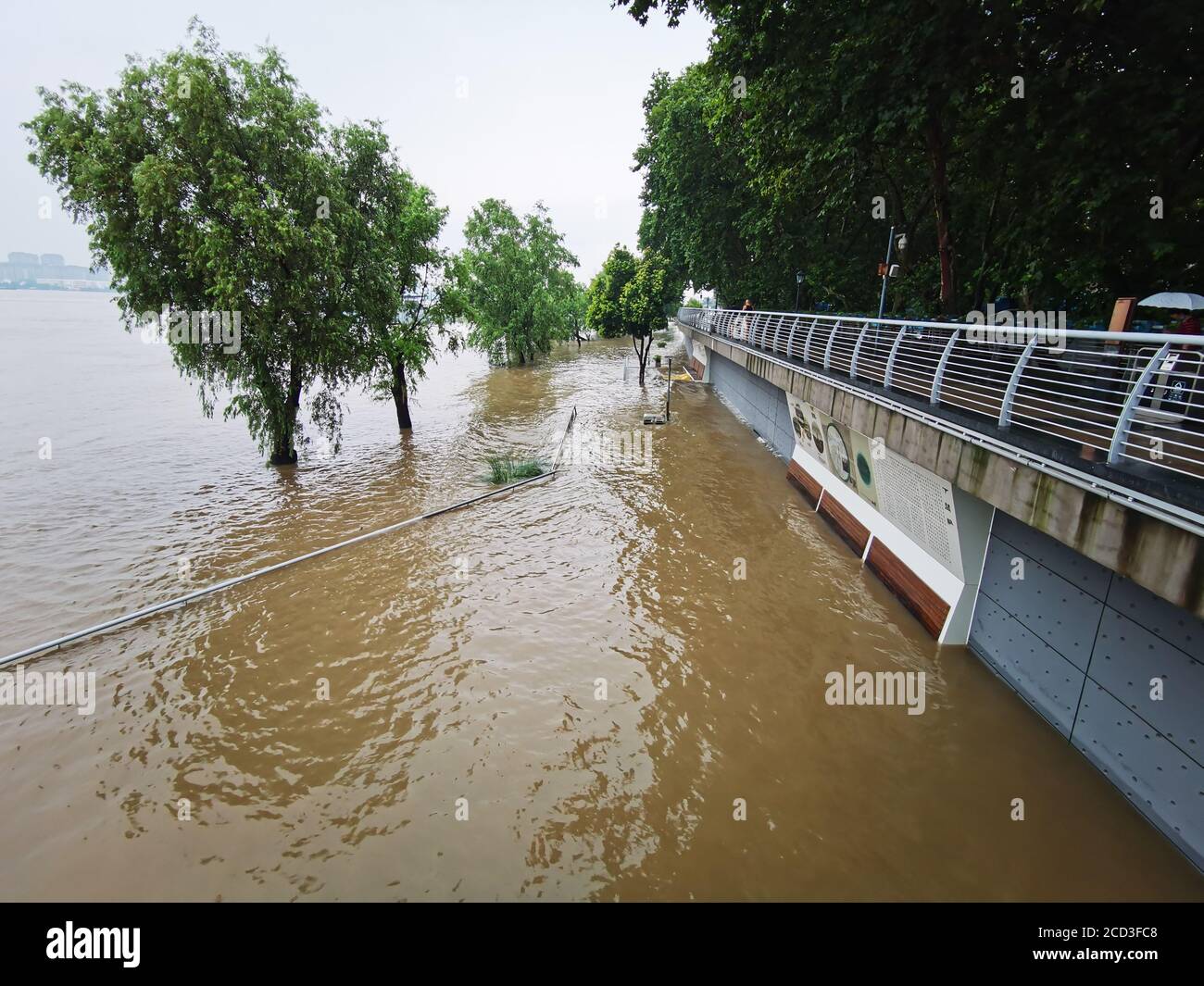 Trees and staircases are submerged by flood caused by surging Yangtze ...