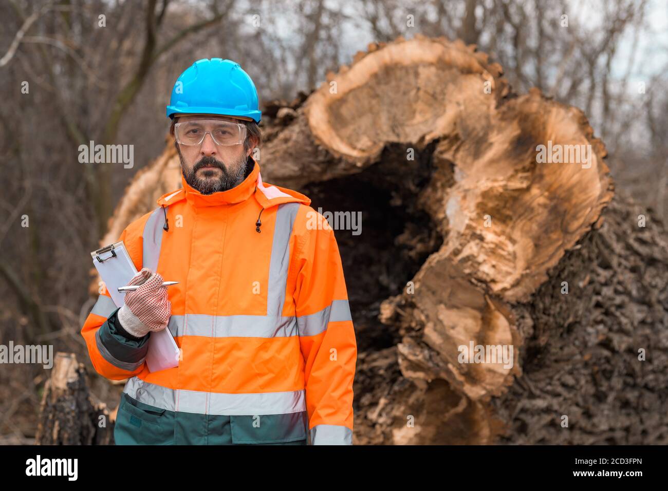 Professional engineering hi-res stock photography and images - Alamy