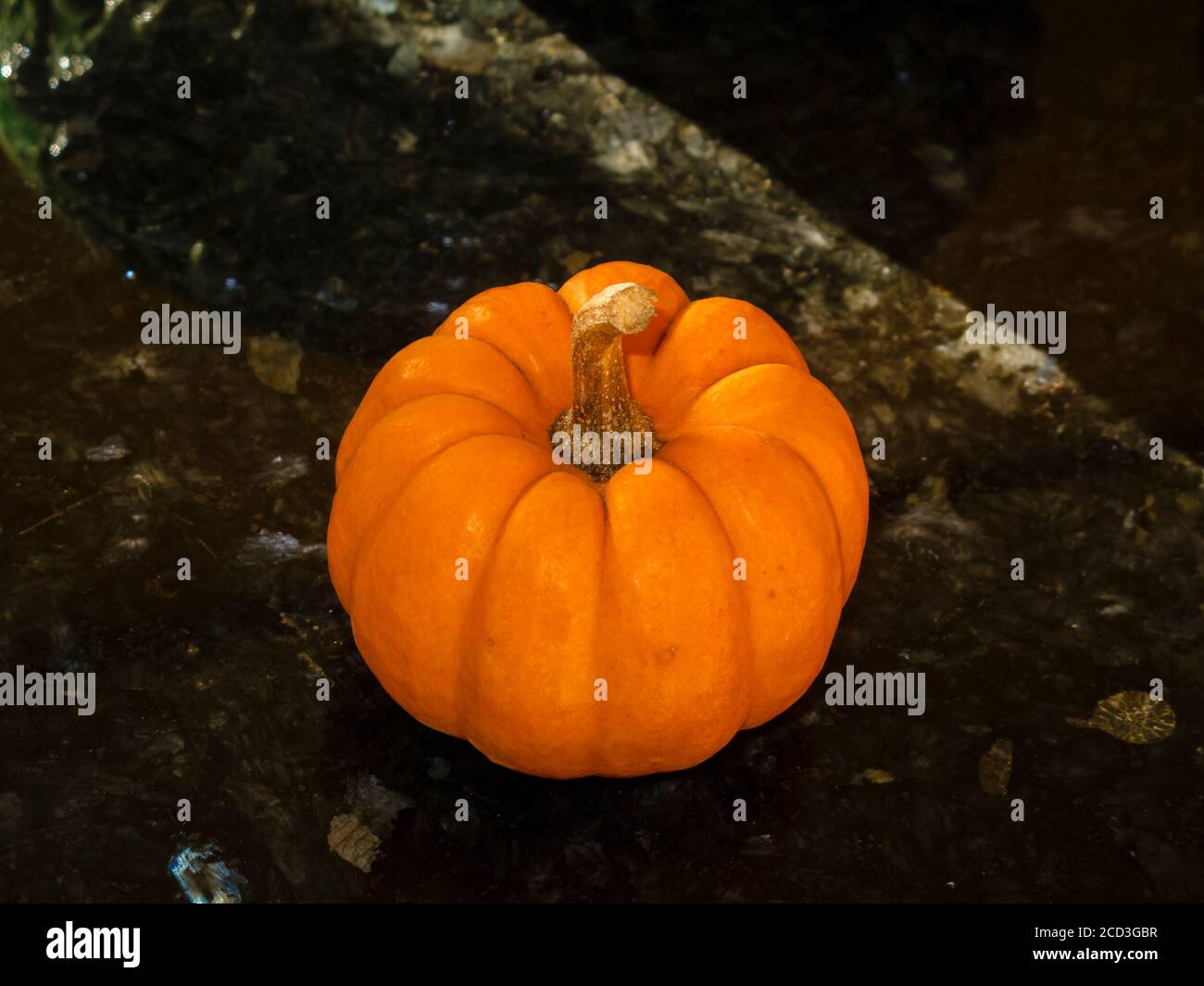 Resting on a stalk hi-res stock photography and images - Alamy