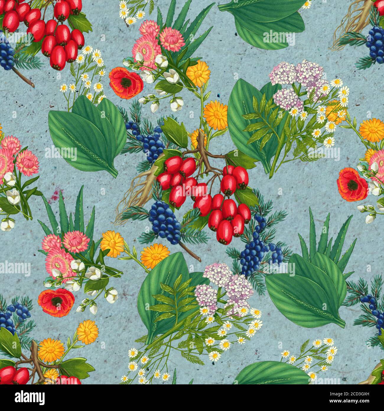 Hand drawn medicinal plant seamless pattern. Healing herbs drawing on ...