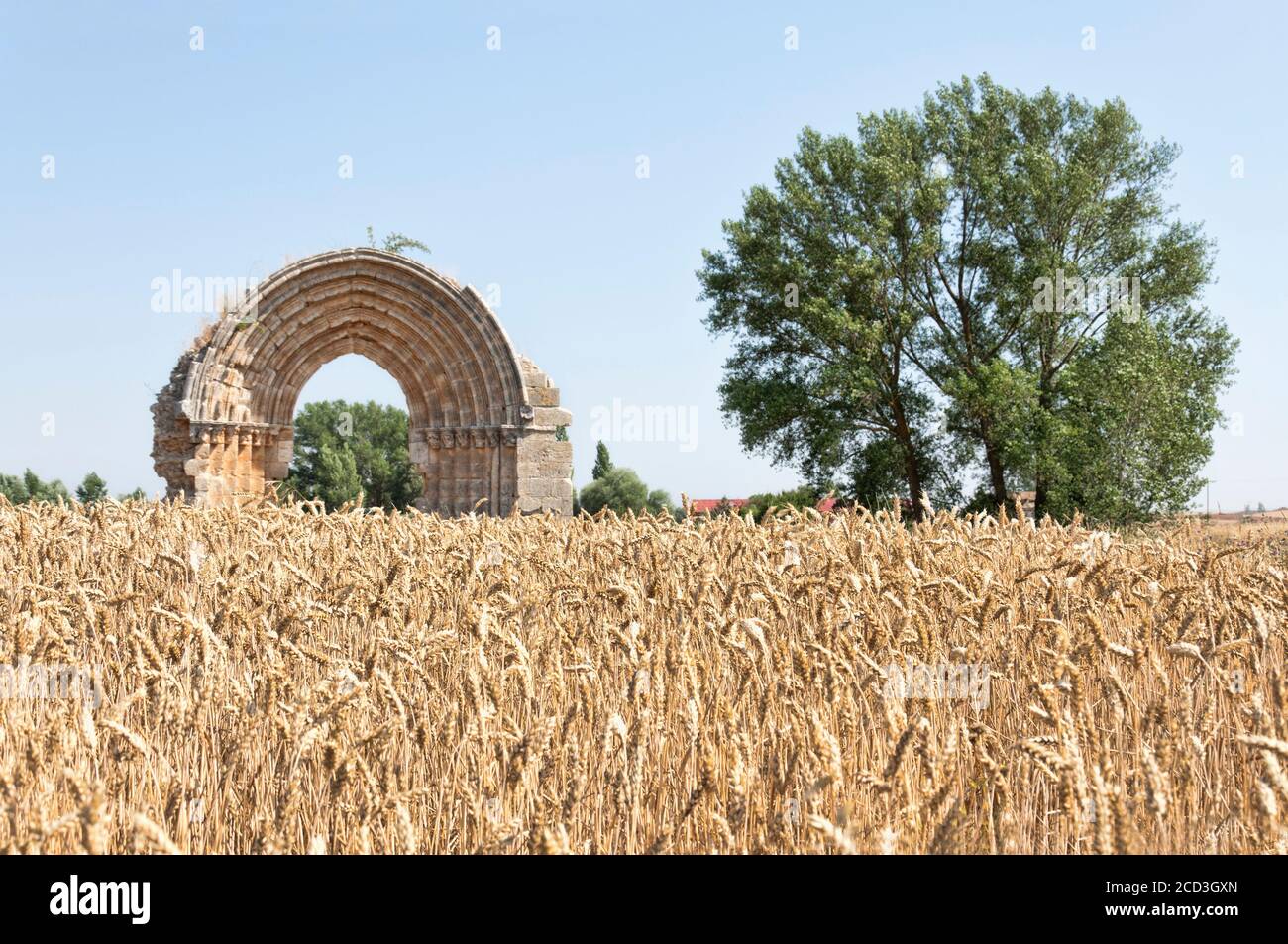Medieval arch of San Miguel in a wheat field. It is a romanesque portal ...