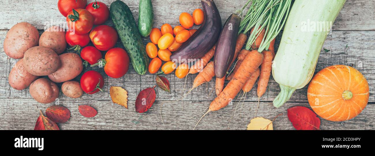 Assortment different fresh organic vegetables on country style wooden ...