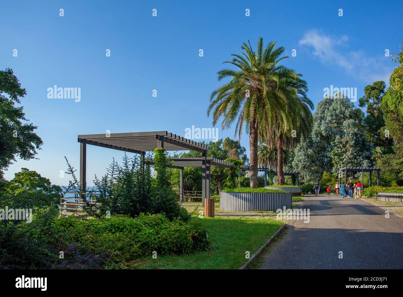 Beautiful view of Batumi Botanical Garden is located near Batumi Stock ...