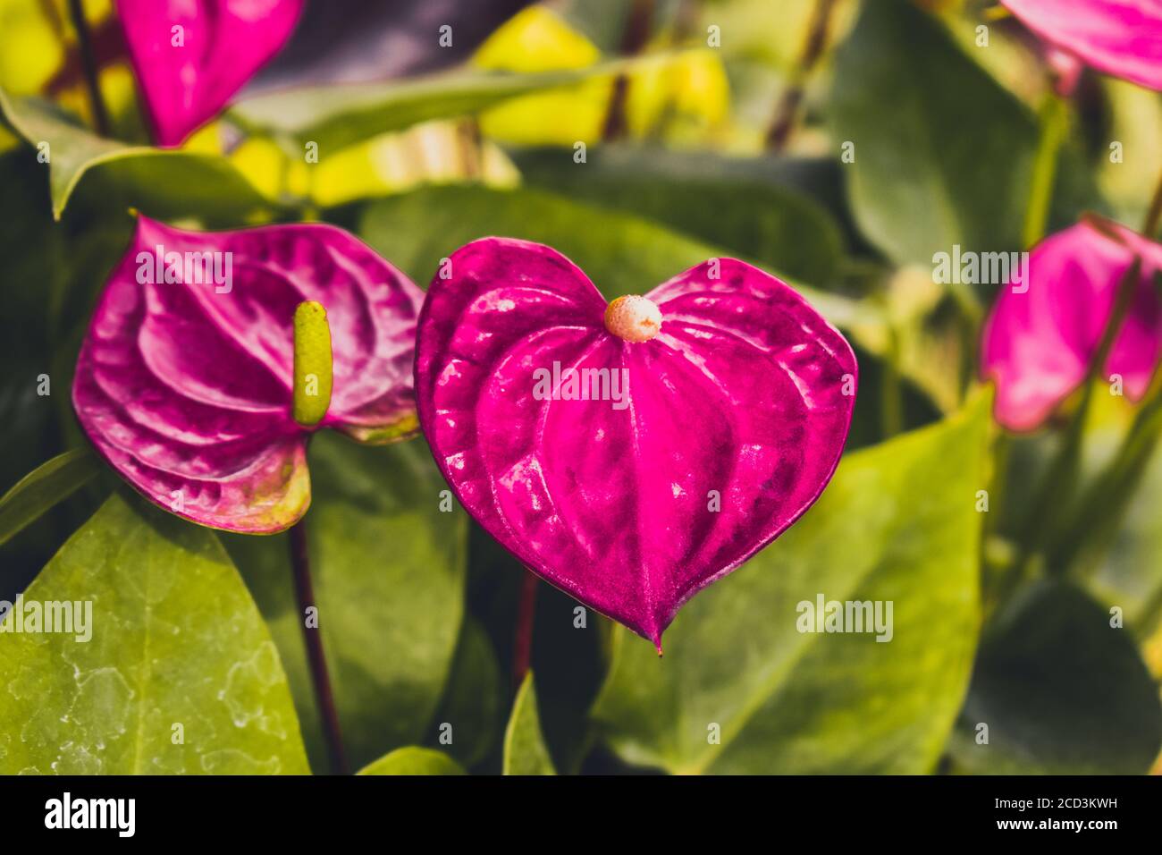 Painters chart hi-res stock photography and images - Alamy