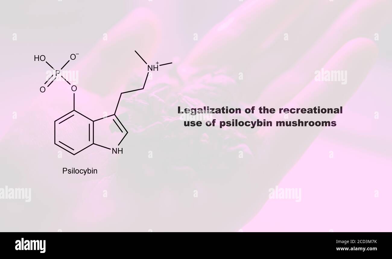 Legalization of the recreational use of psilocybin mushrooms ...