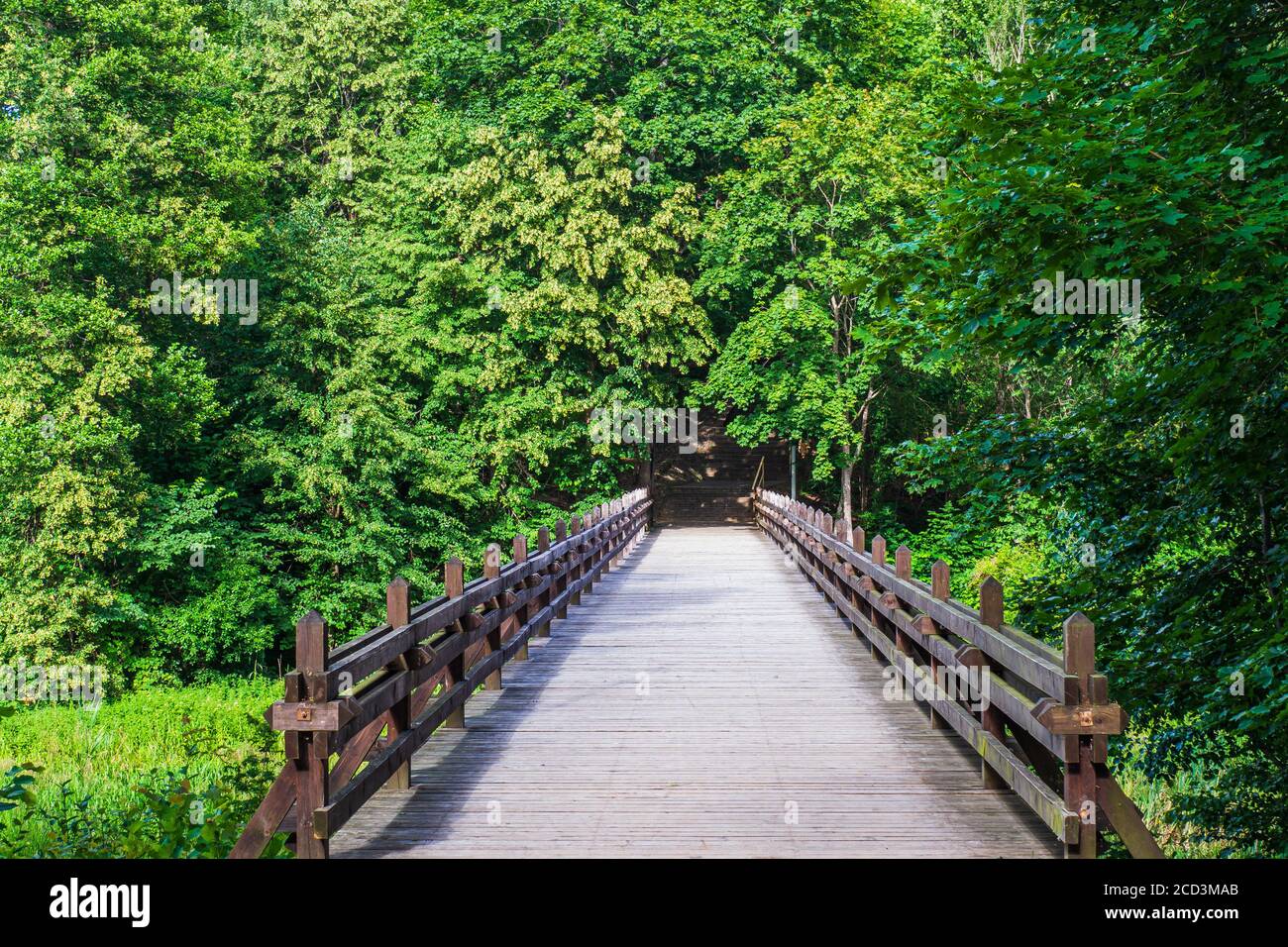 Old Wooden Bridge Over River in Deep Forest Stock Photo - Alamy