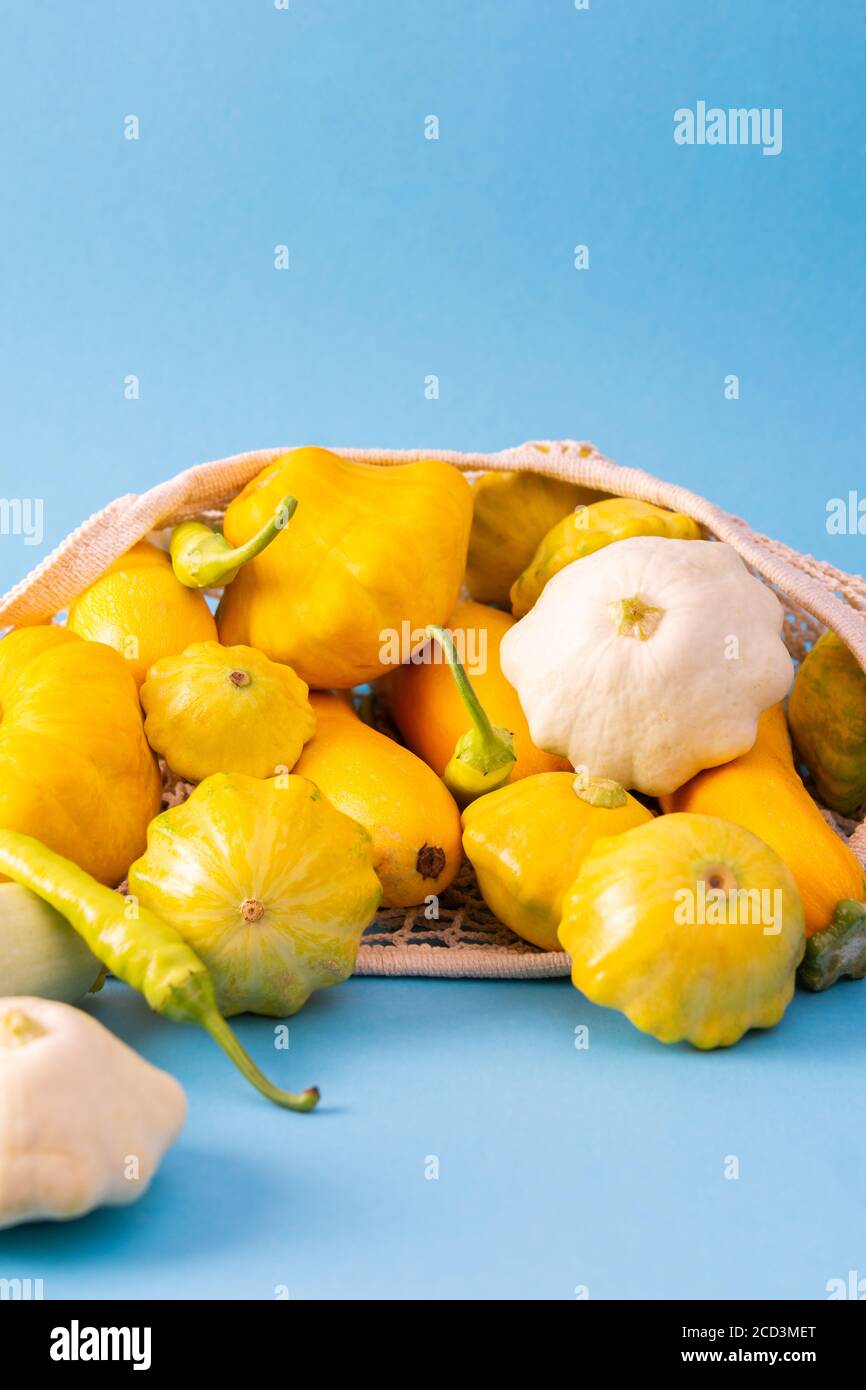 Fresh harvest of zucchini and pattison, yellow squash and pattison on ...
