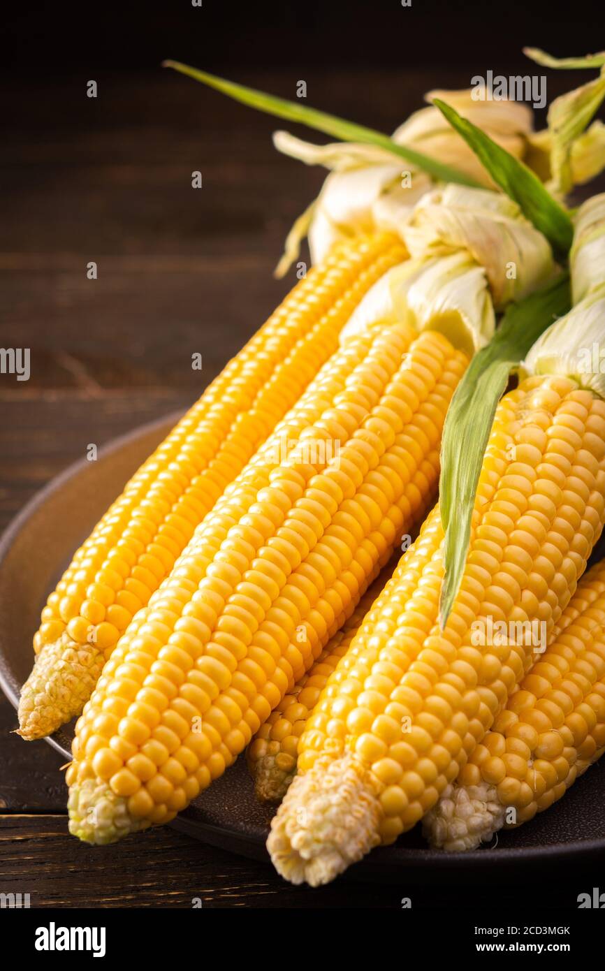 Fresh crop of corn, organic corn cob with leaves on dark wooden ...