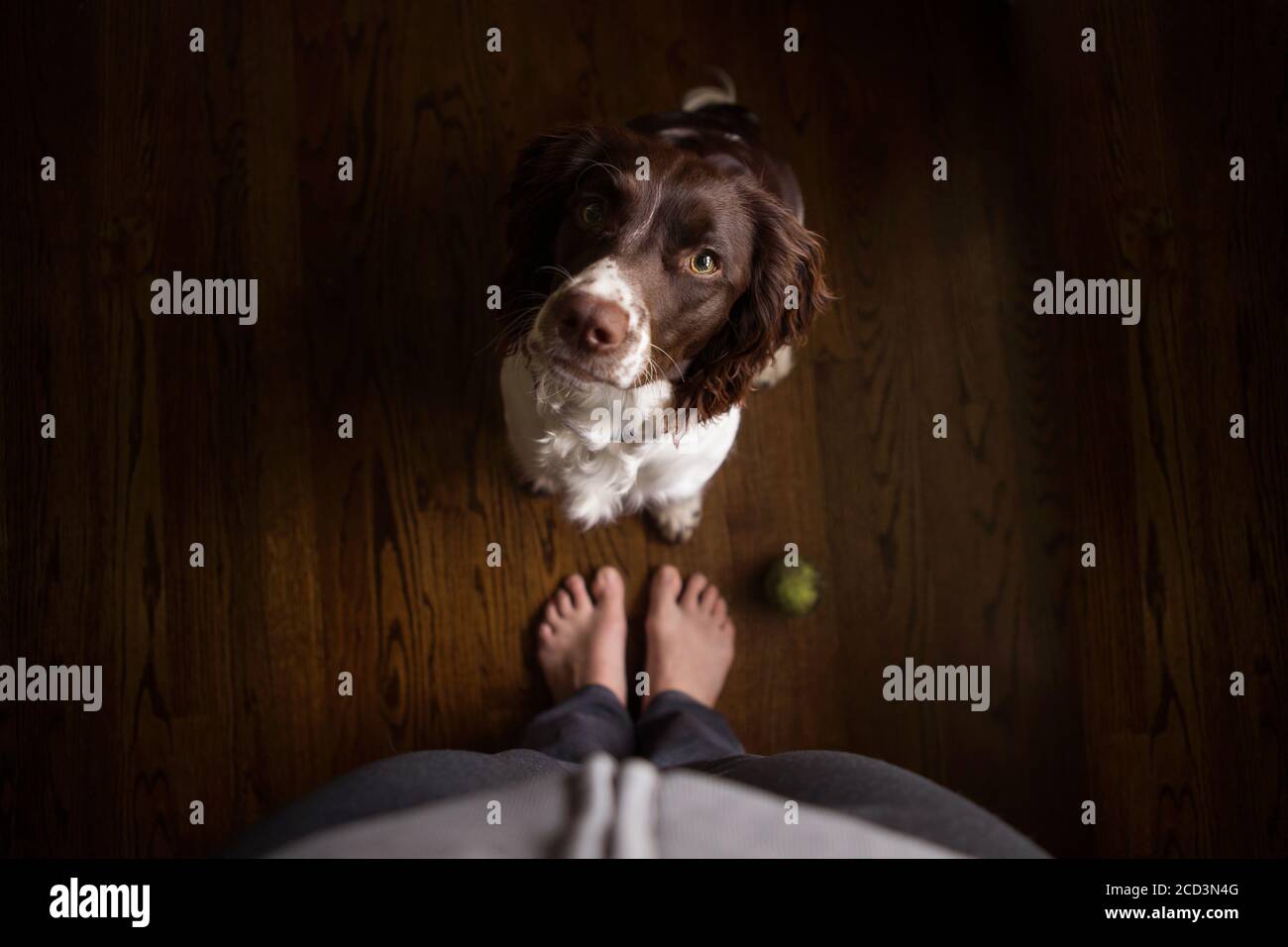 Love please hi-res stock photography and images - Alamy