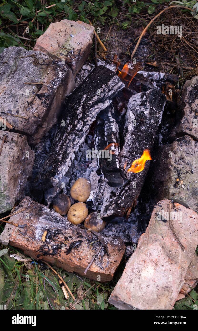 Baking potatoes in coals from the fire, cooking on a hike Stock Photo ...