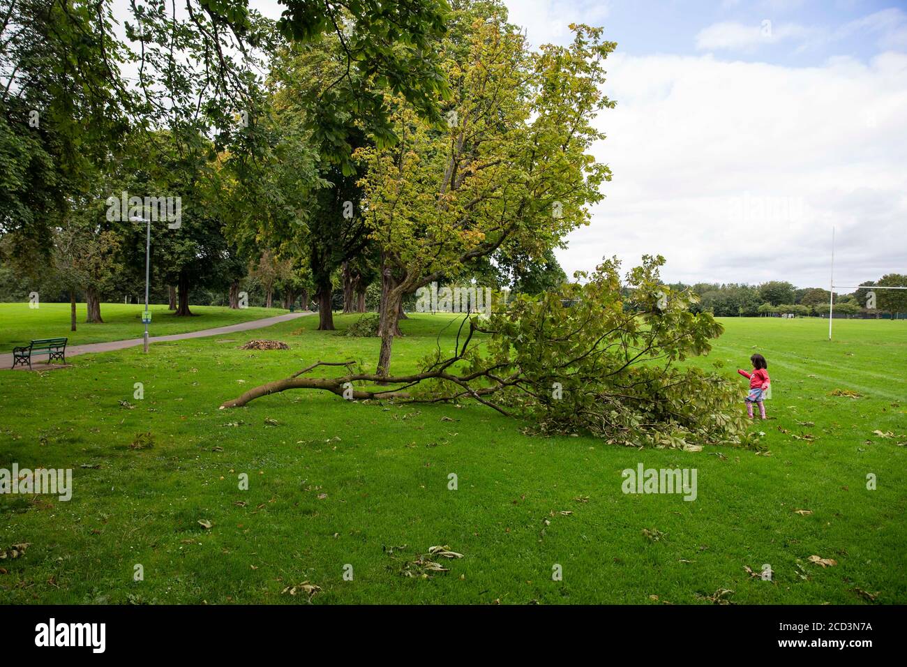 Cardiff, Wales, UK. 26th Aug, 2020. A young child inspects fallen tree ...
