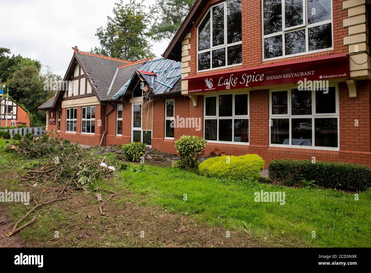 Previous damage to the tree hi-res stock photography and images - Alamy