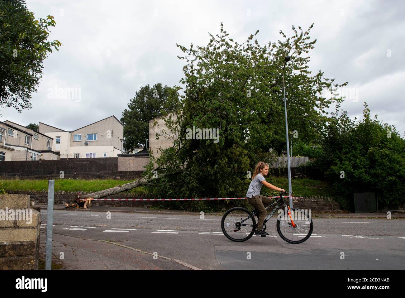 Cardiff, Wales, UK. 26th Aug, 2020. A girl cycles past a fallen tree in ...