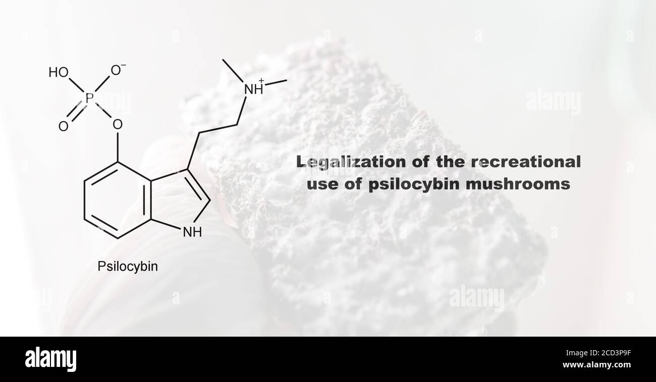 Legalization of the recreational use of psilocybin mushrooms ...