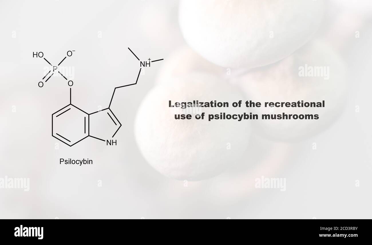 Legalization of the recreational use of psilocybin mushrooms ...