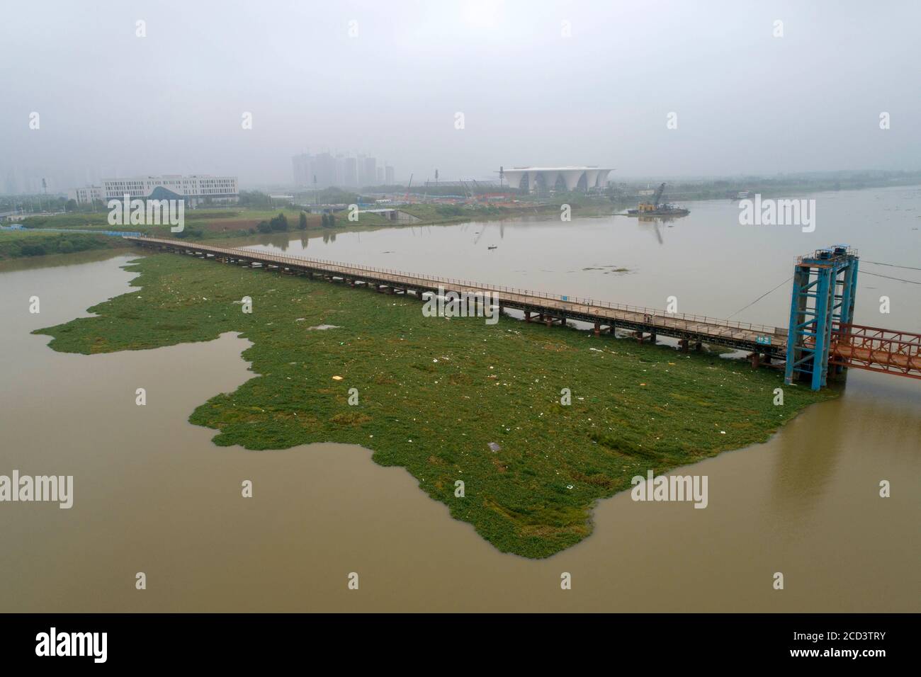 Aerial view of the water hyacinth flowed to Han River by the flood and ...