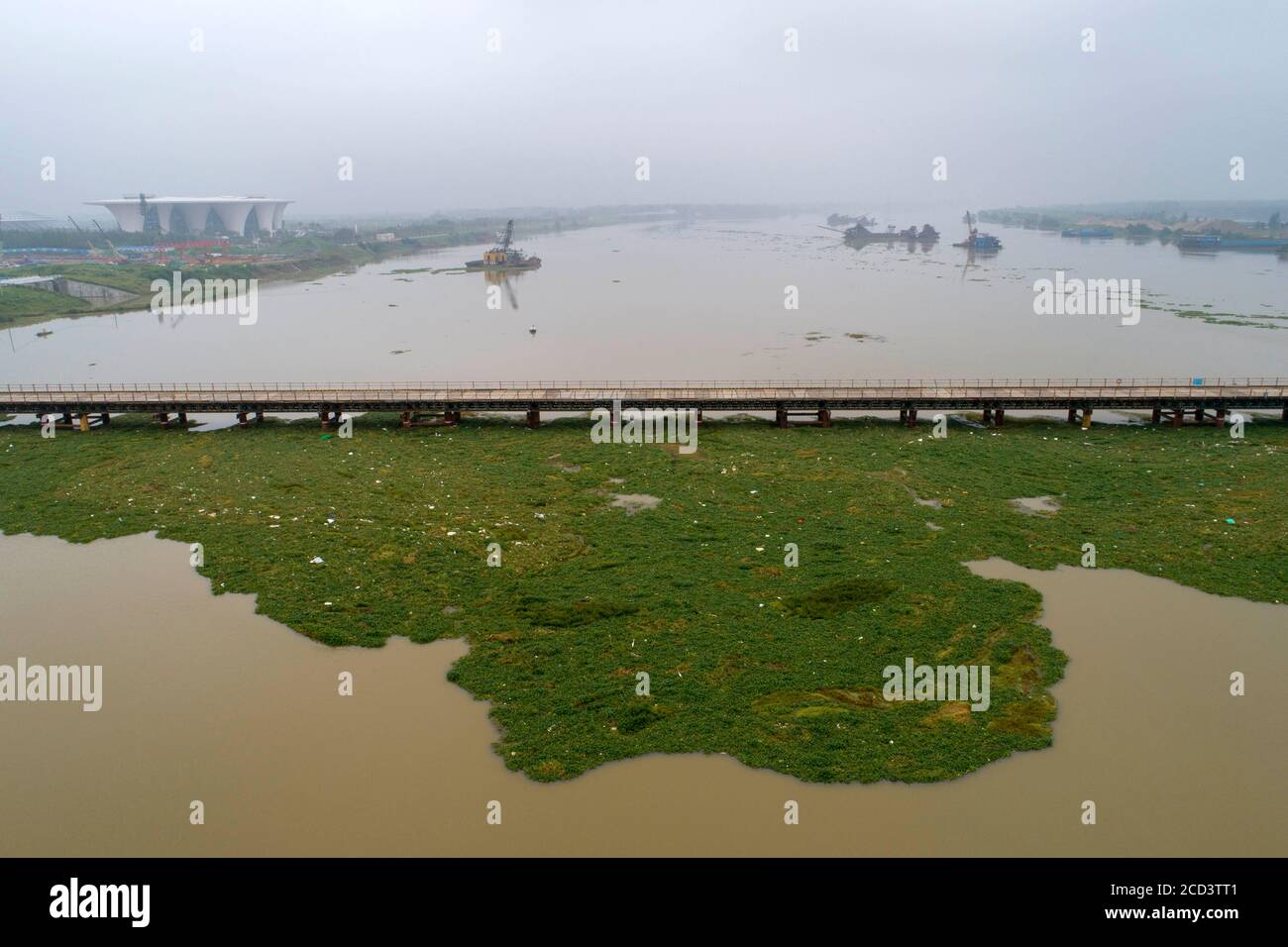 Aerial view of the water hyacinth flowed to Han River by the flood and ...