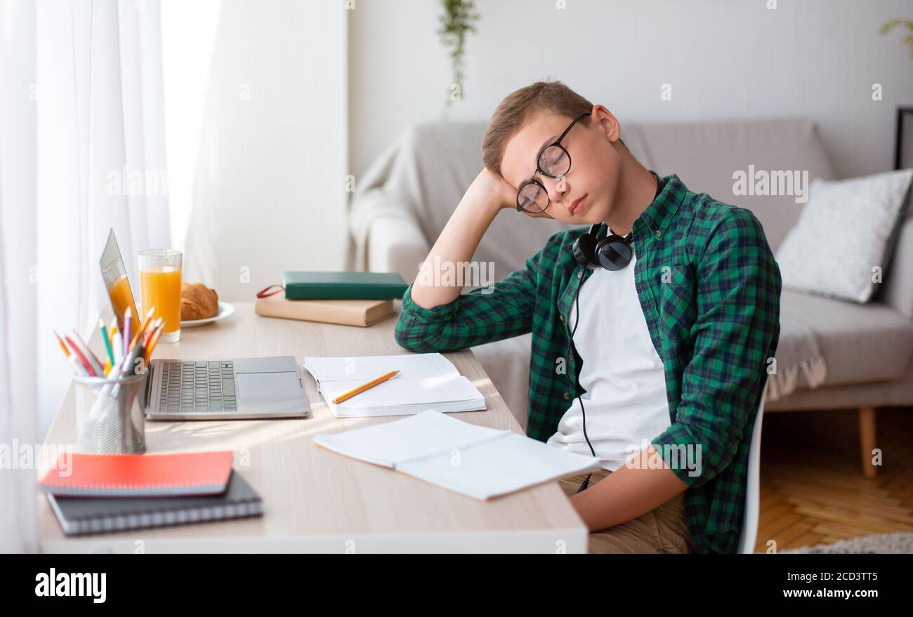 Teenager having nap while studying at home Stock Photo - Alamy