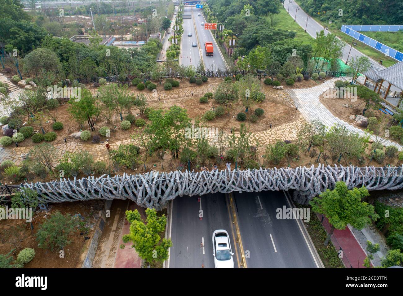 Aerial view of a tree-style overpass in Xinagyang city, north China's ...