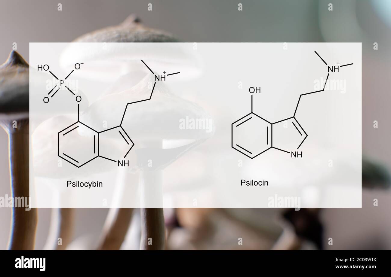 the medical effects of psilocybin and psilocin on the psychological and ...