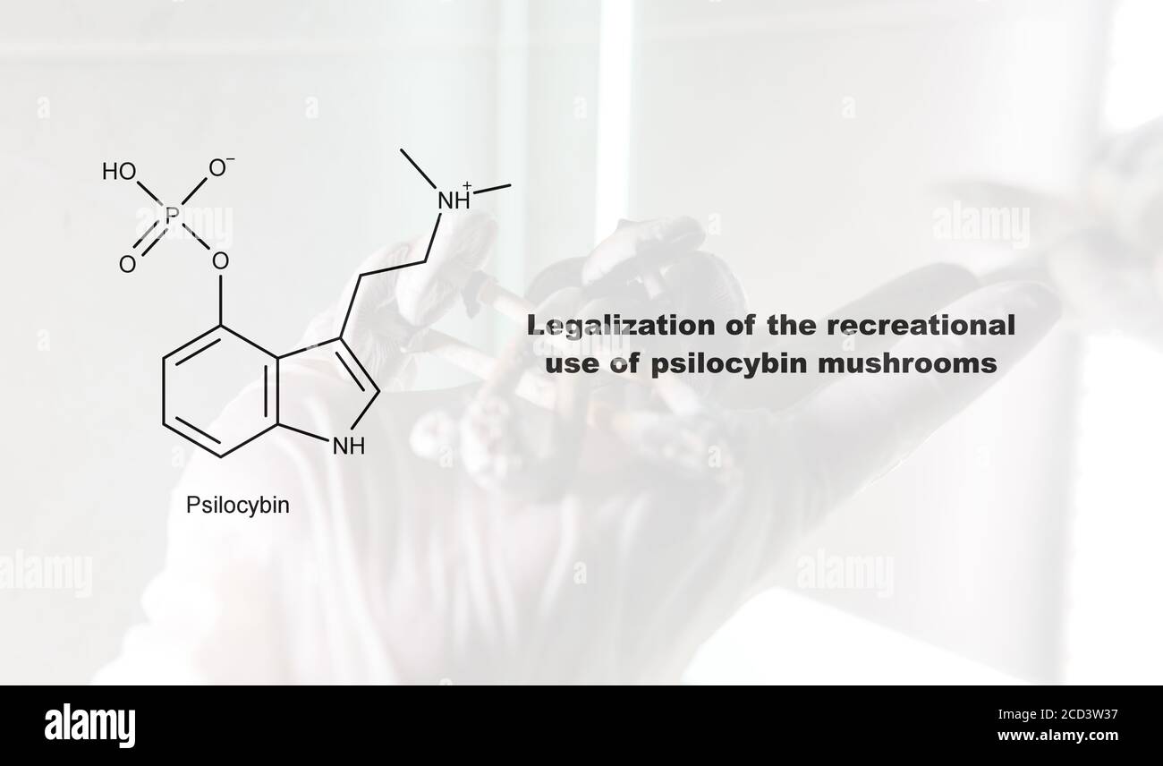 Legalization of the recreational use of psilocybin mushrooms ...