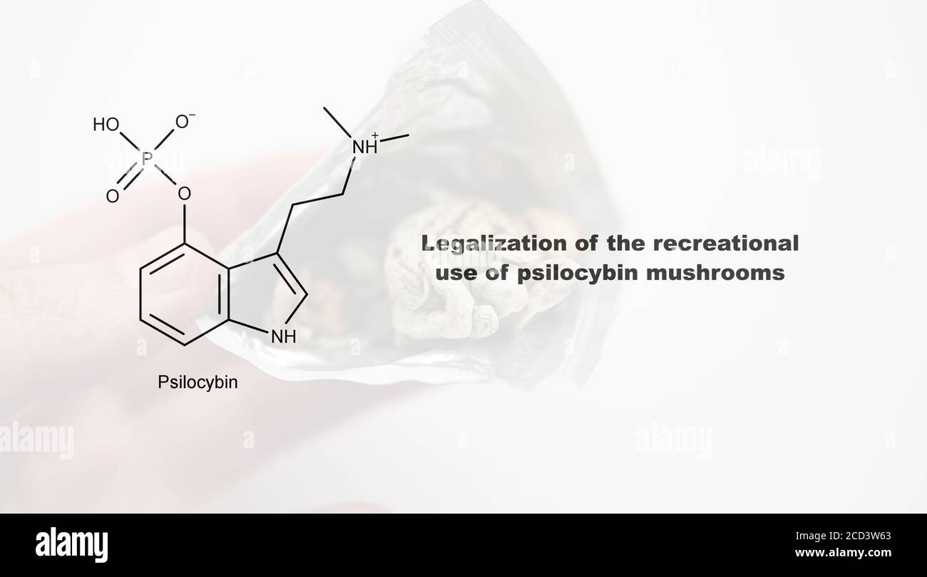 Legalization of the recreational use of psilocybin mushrooms ...