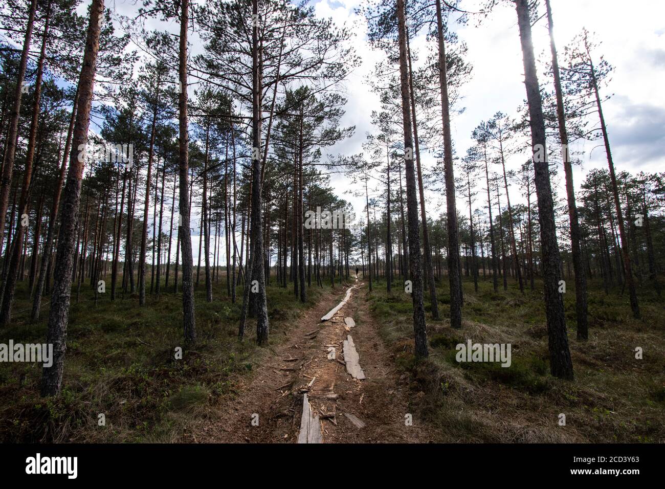 Wide walking path hi-res stock photography and images - Alamy