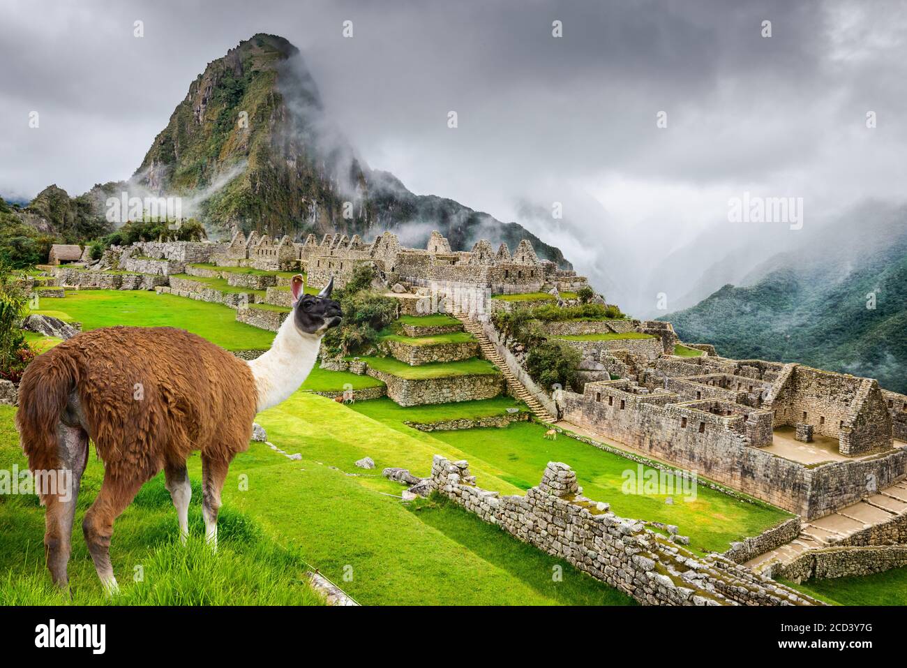 Machu Picchu, Peru - Ruins of Inca Empire city, in Cusco region ...