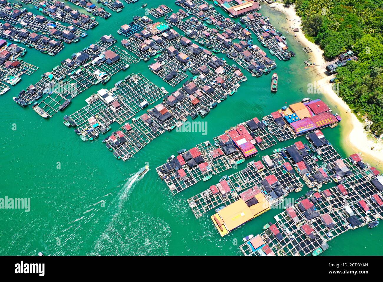 Aerial view of the houses of Tanka people, an ethnic group in Southern ...