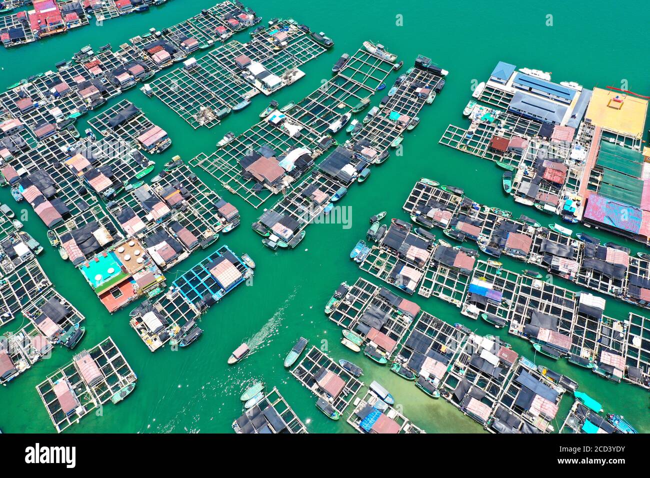 Aerial view of the houses of Tanka people, an ethnic group in Southern ...
