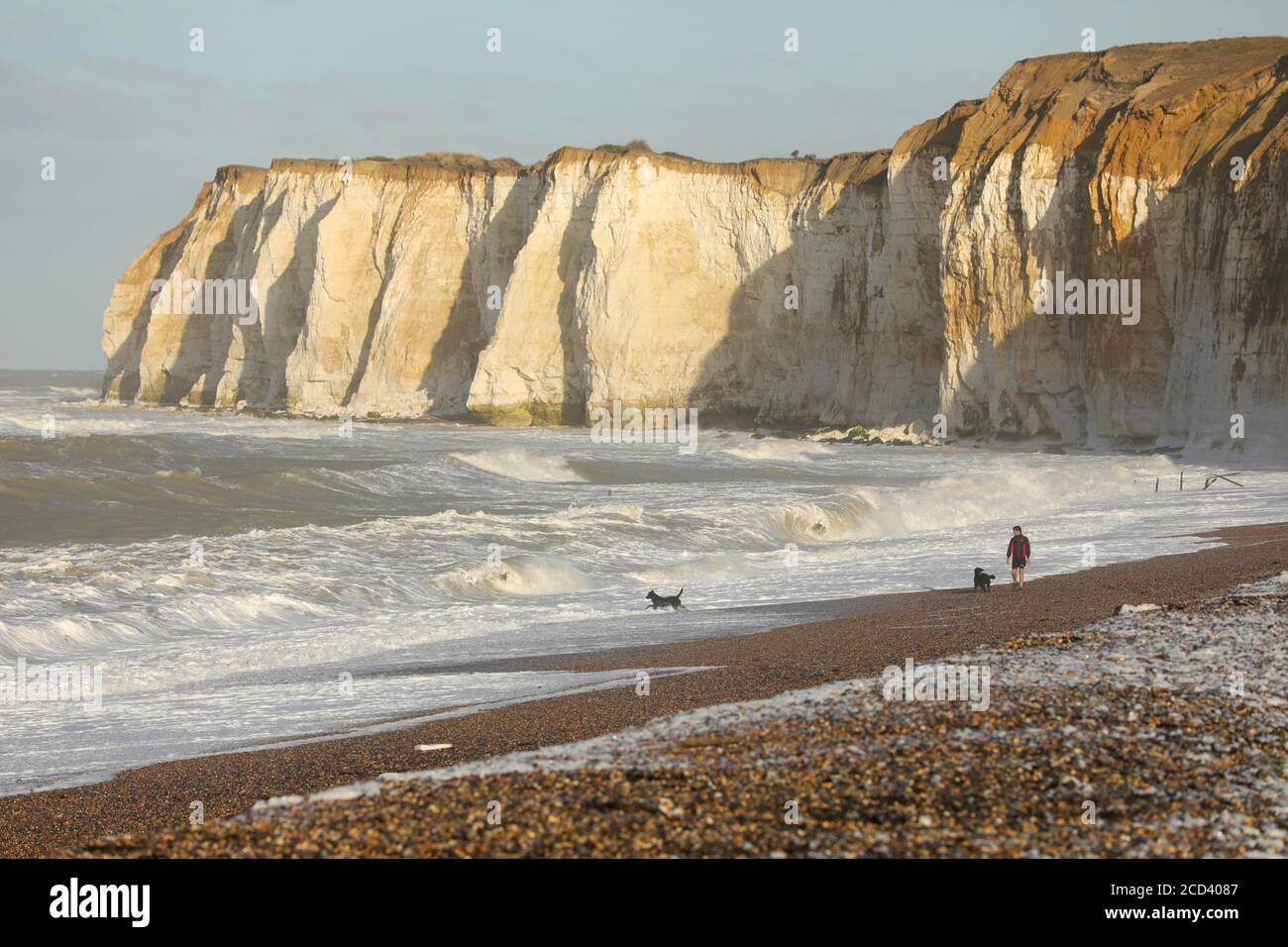 Man and dogs on beach in storm hi-res stock photography and images - Alamy