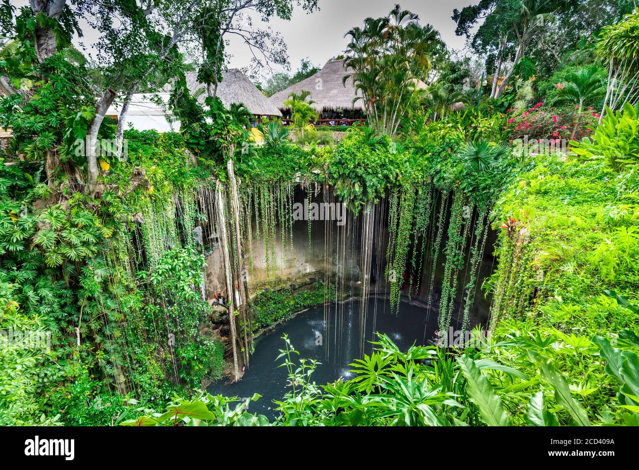 Cenote hi-res stock photography and images - Alamy