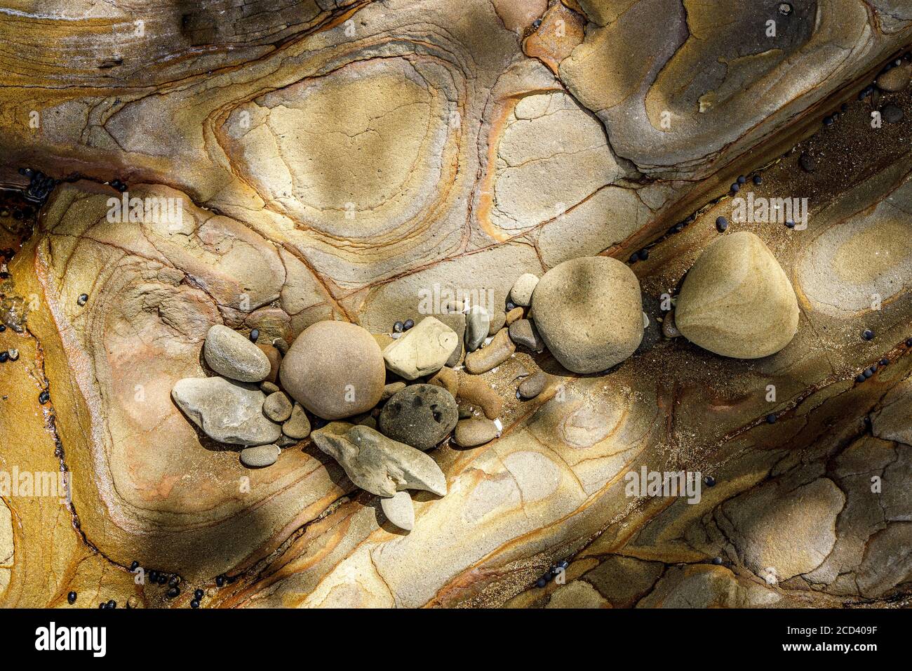 Close-up details of geological mud rock formations on Buckleton Beach ...