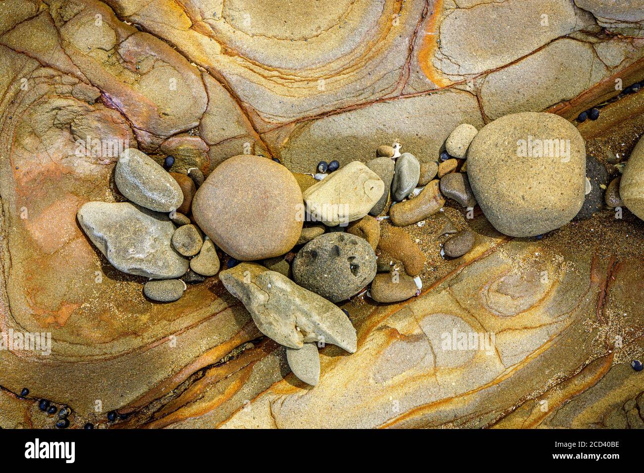 Close-up details of geological mud rock formations on Buckleton Beach ...