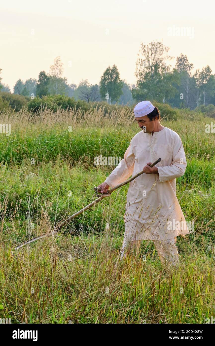 Scythe grass hi-res stock photography and images - Alamy